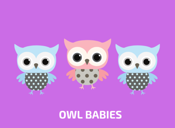 Owl Babies by Martin Waddell - Toddle