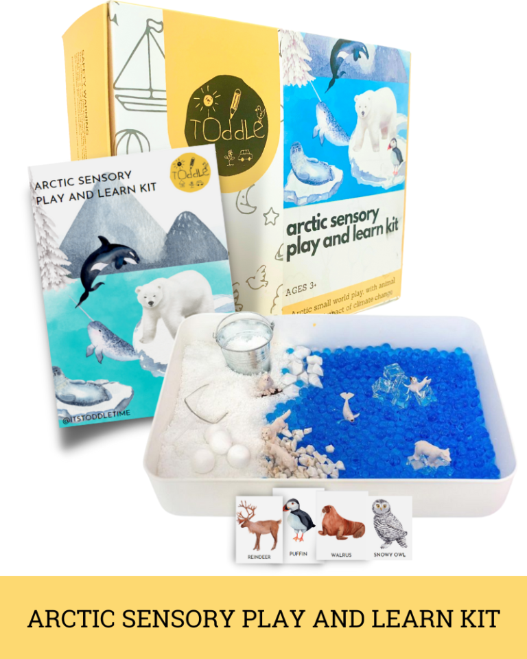 Arctic Sensory Play and Learn - Toddle