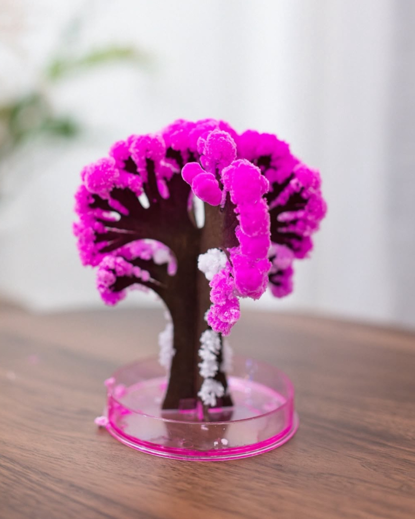 CRYSTAL SAKURA GROW KIT - Toddle